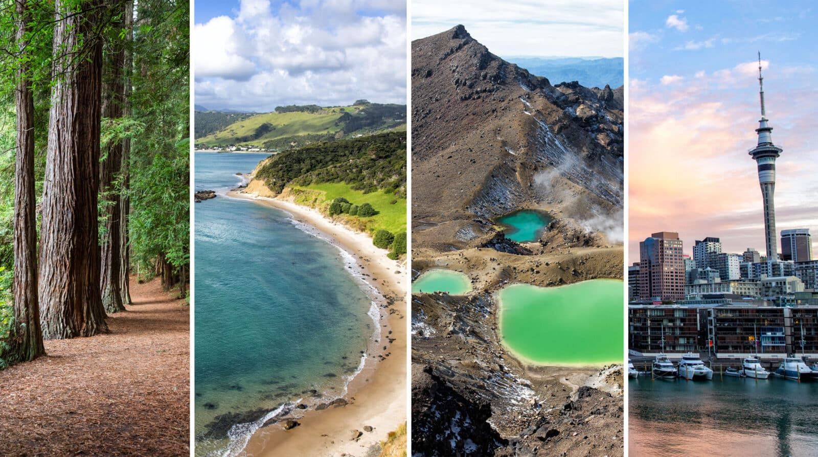 New Zealand North Island Itinerary: Options for 5 Days to 2 Weeks