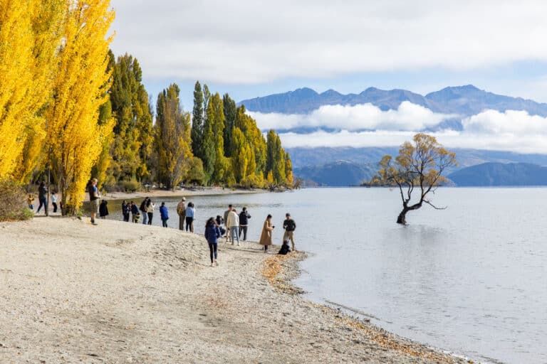 20 Epic Things to Do in Wanaka, New Zealand – Earth Trekkers