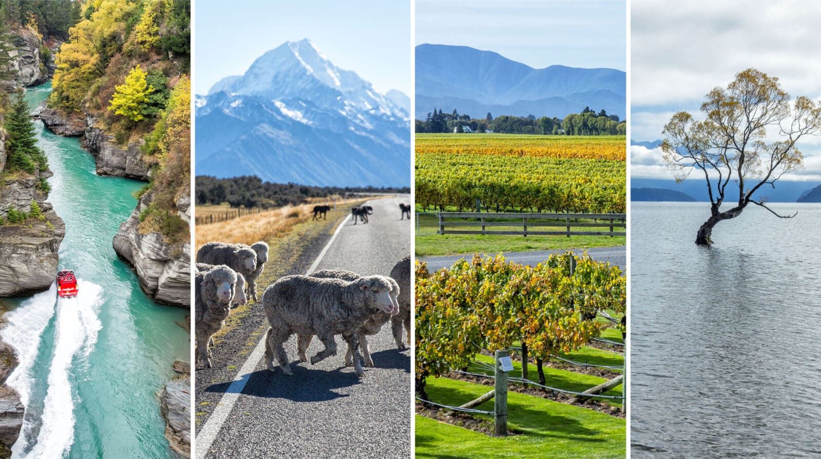 New Zealand North Island Itinerary: Options for 5 Days to 2 Weeks