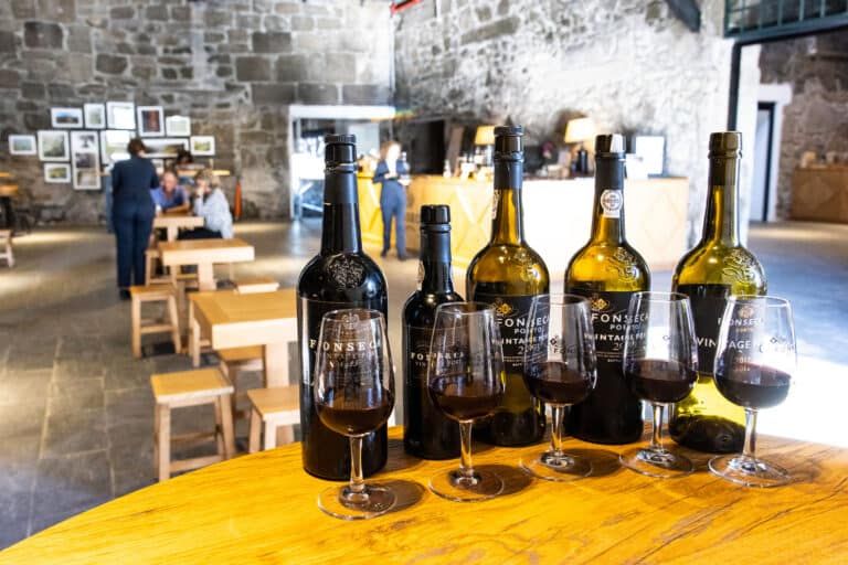 Wine Cellars in Porto: Port Tasting in Vila Nova de Gaia – Earth Trekkers