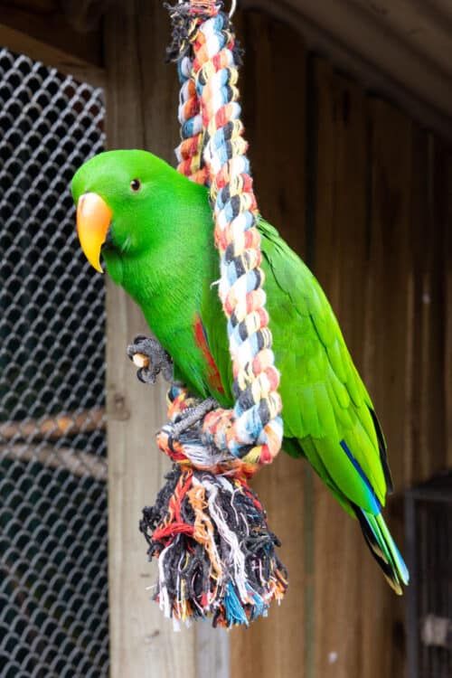 Best Things to Do in Paihia: Gateway to the Bay of Islands