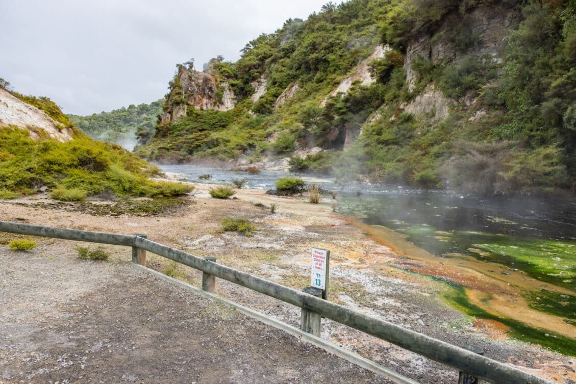 20 Amazing Things to Do in Rotorua, New Zealand – Earth Trekkers