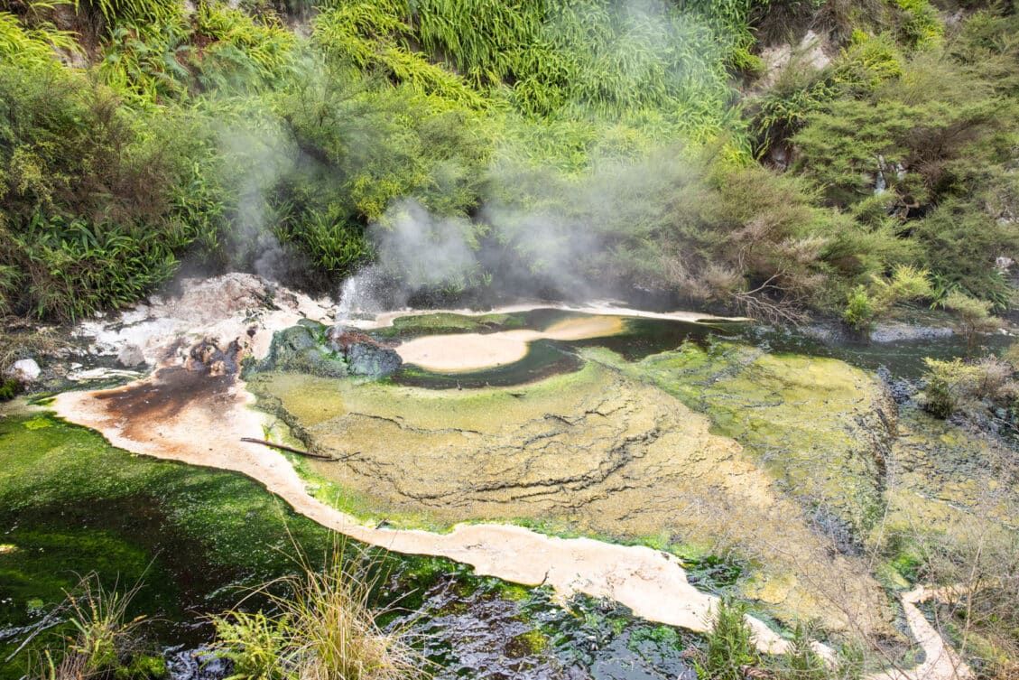 20 Amazing Things to Do in Rotorua, New Zealand – Earth Trekkers