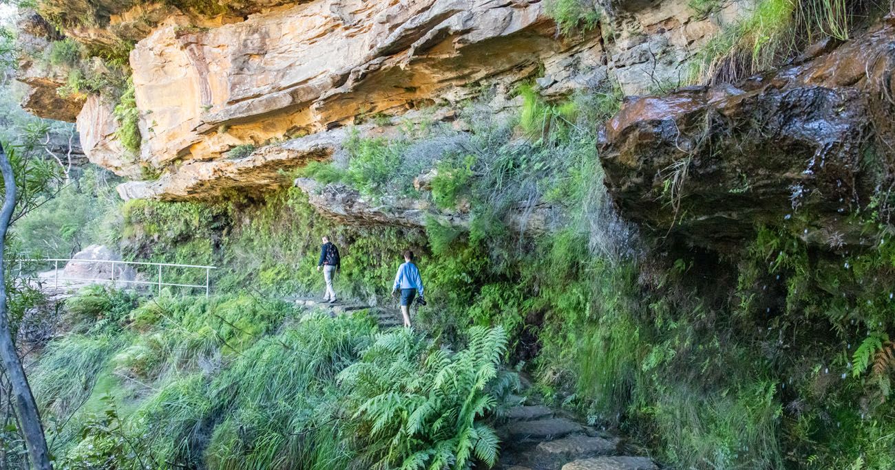 Wentworth Falls Track Loop Hike | Blue Mountains, Australia