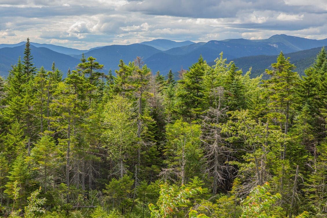 Top 10 Stops Along the Kancamagus Highway – Earth Trekkers
