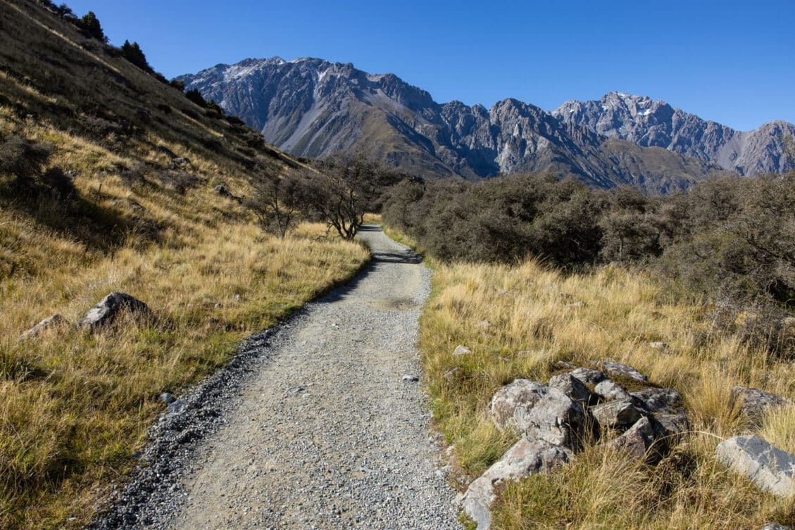 Tasman Glacier View, Blue Lakes, and Tasman Lake Hiking Guide