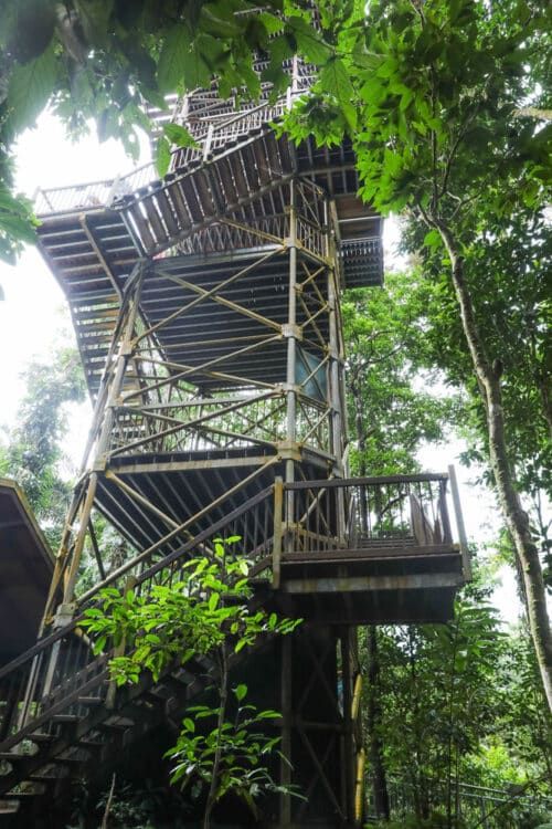 Daintree National Park: Things to Do, Best Tours & How to Get Here ...