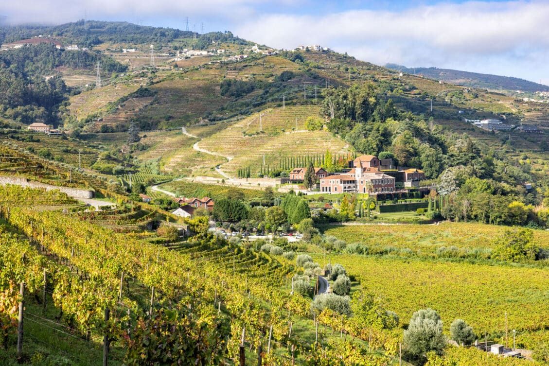 How to Visit the Douro Valley: Things to Do, Best Wineries, Where to ...