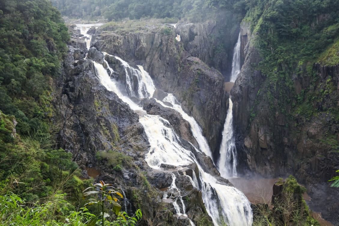 5 Day Cairns Itinerary: Great Barrier Reef & Beyond – Earth Trekkers