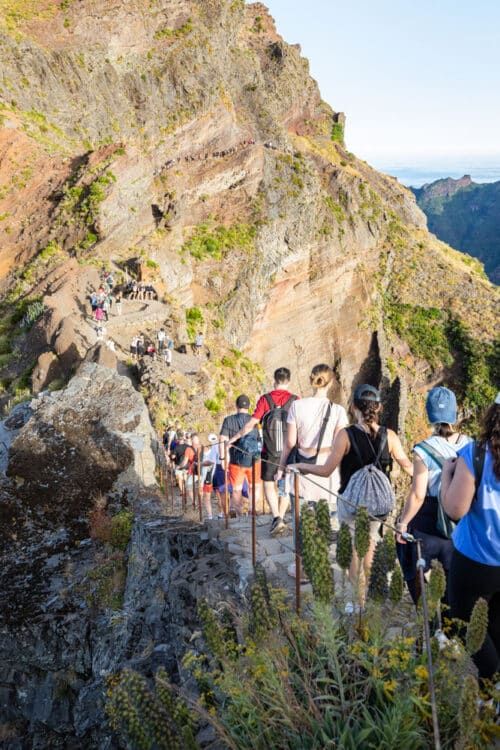 First Trip to Madeira: 14 Things to Know Before You Go