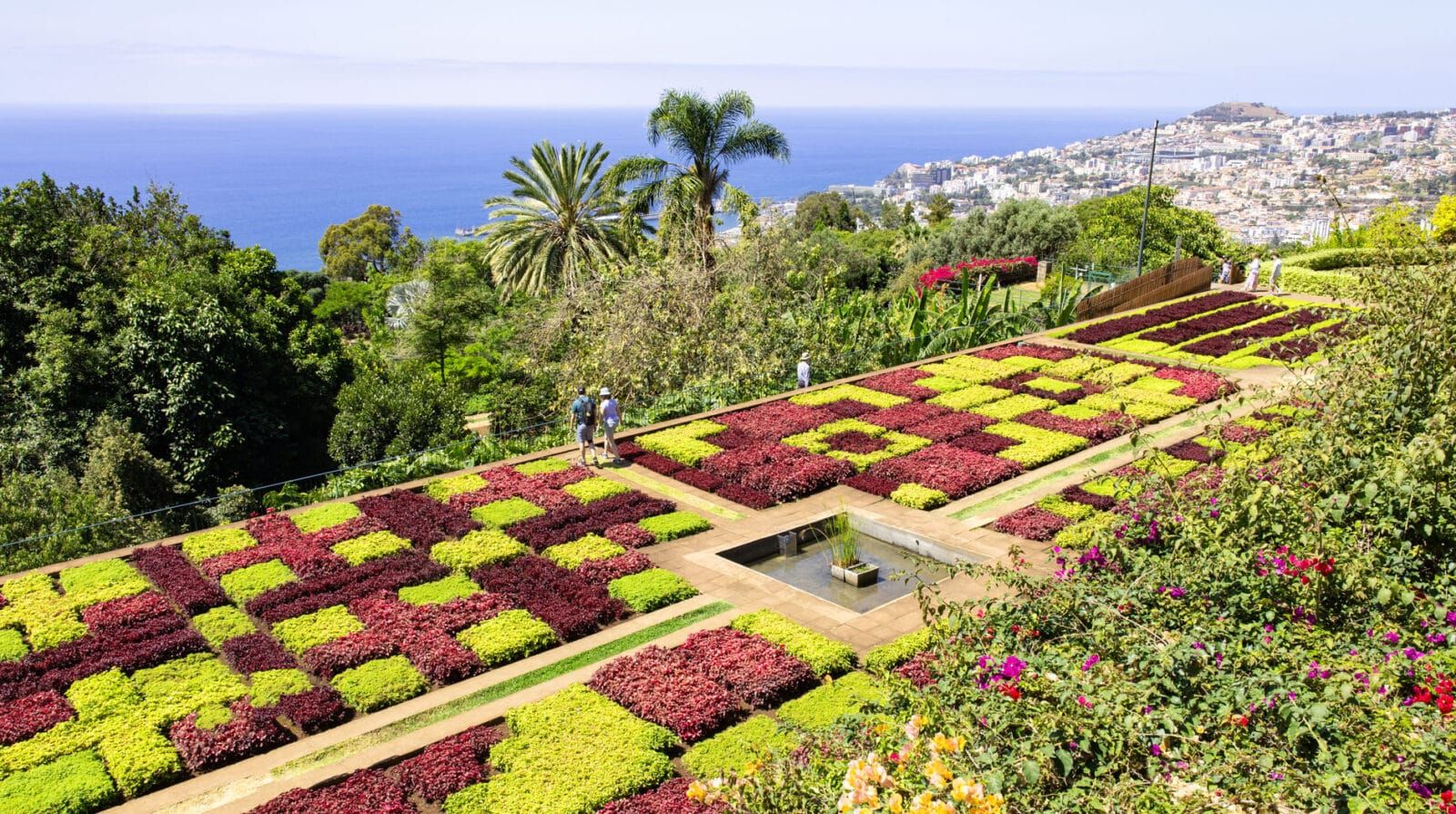 First Trip to Madeira: 14 Things to Know Before You Go