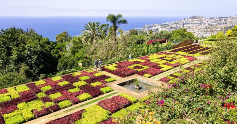 20 Unique Things to Do in Funchal, Madeira: Monte & the Old Town