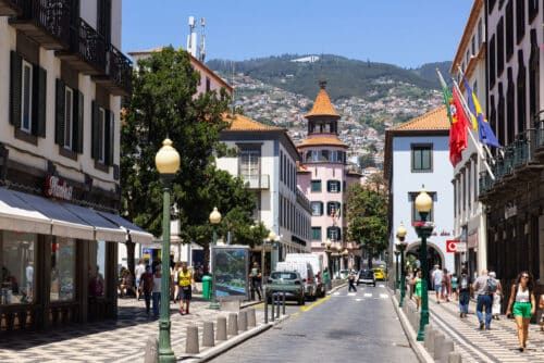 20 Unique Things to Do in Funchal, Madeira – Earth Trekkers
