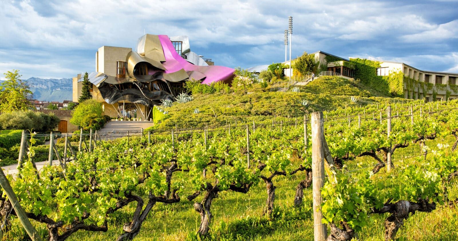 15 Wineries to Visit in the Rioja Wine Region of Spain