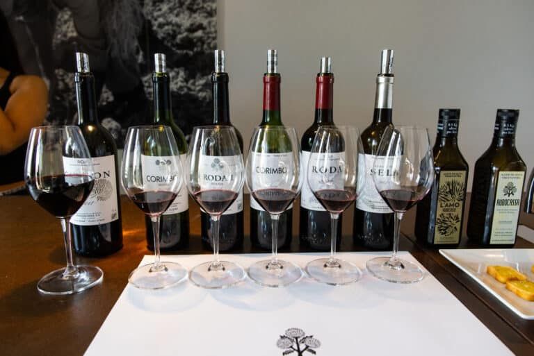 15 Wineries to Visit in the Rioja Wine Region of Spain