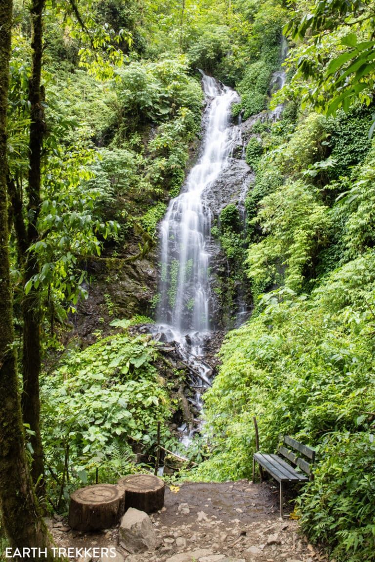 Best Things to Do in Monteverde, Costa Rica (What's Actually Worth It)
