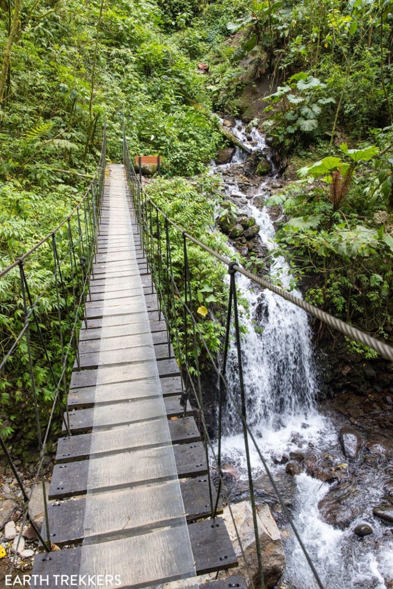 Best Things to Do in Monteverde, Costa Rica (What's Actually Worth It)