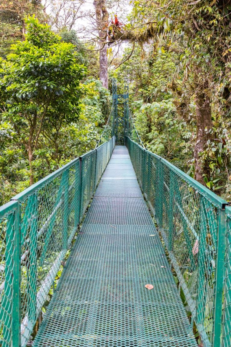 10 Best Things to Do in Monteverde, Costa Rica
