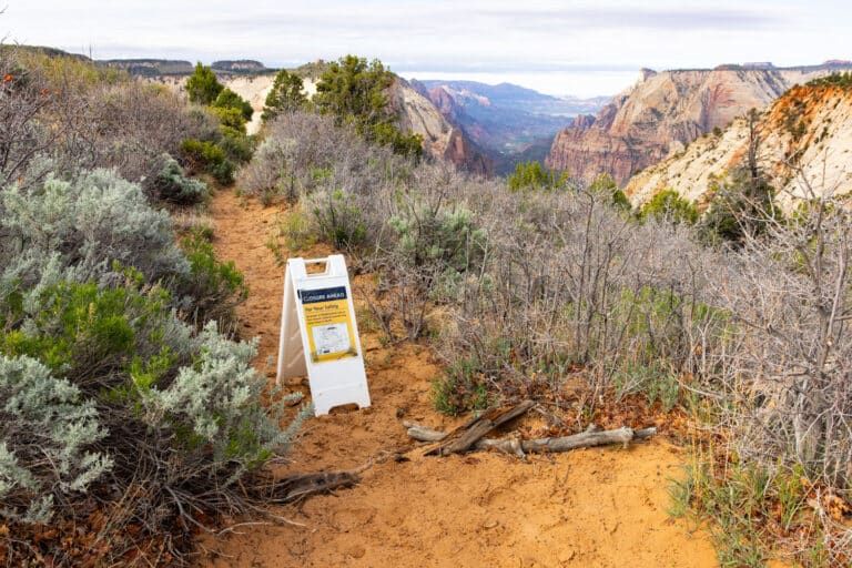 How to Hike to Observation Point for Jaw-Dropping Views of Zion