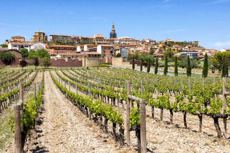 The Perfect Rioja Wine Region Itinerary
