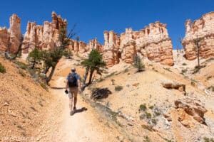 The Amazing Fairyland Loop: An Underrated Hike in Bryce Canyon