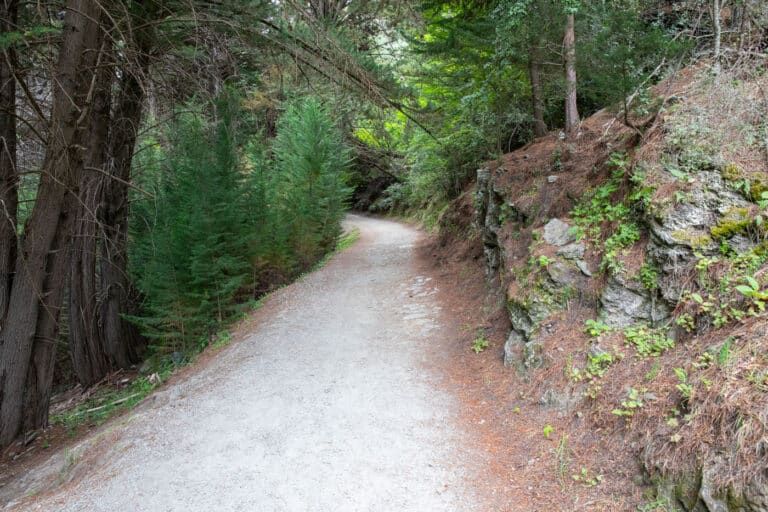 Queenstown Hill Walkway: A Step-By-Step Hiking Guide