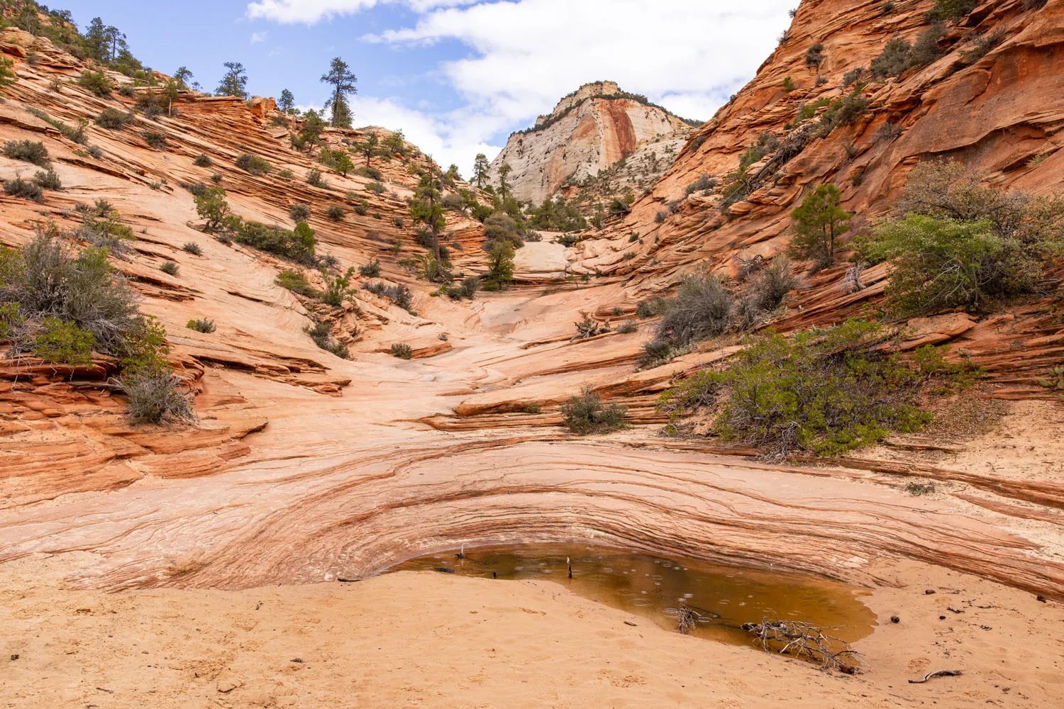 Many Pools Trail – A Hidden Gem in Zion National Park