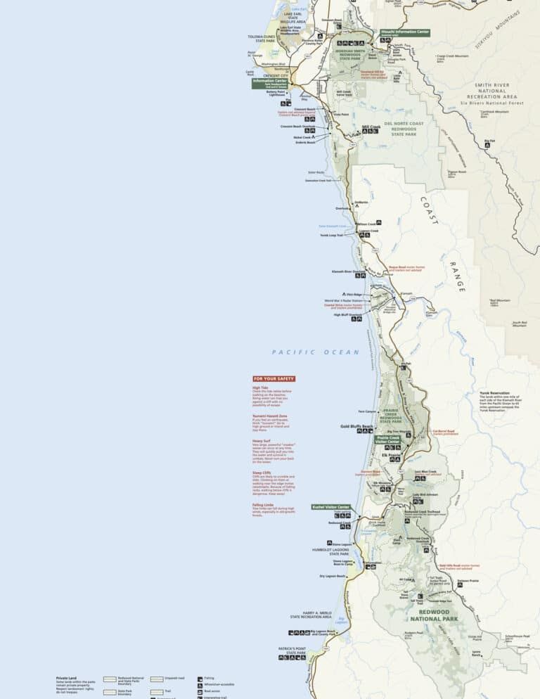 How to Plan a Trip to Redwood National & State Parks